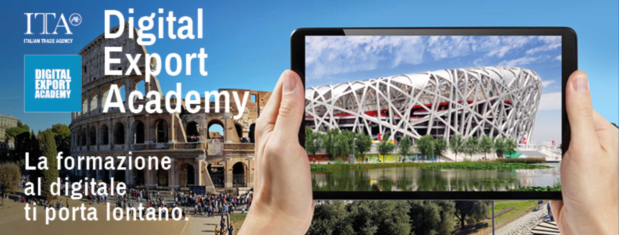 Digital Export Academy - Export Training